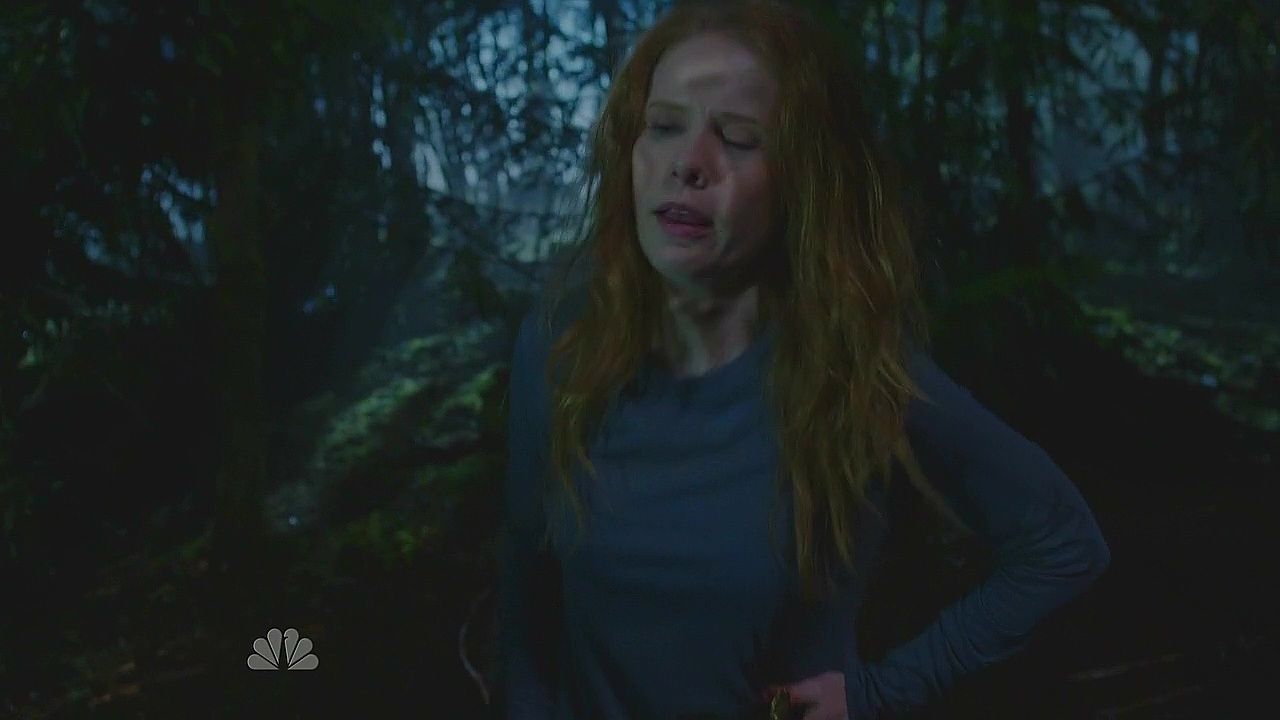 海外ドラマ「GRIMM Season4」第十九話『鉄のハンス/IRON HANS』のあらすじと感想